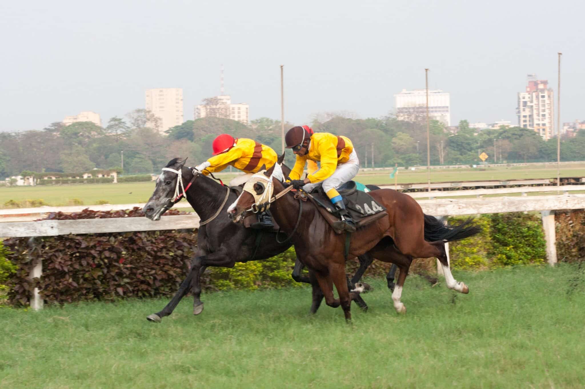 Your Guide to the 2025-2026 Indian Horse Racing Calendar